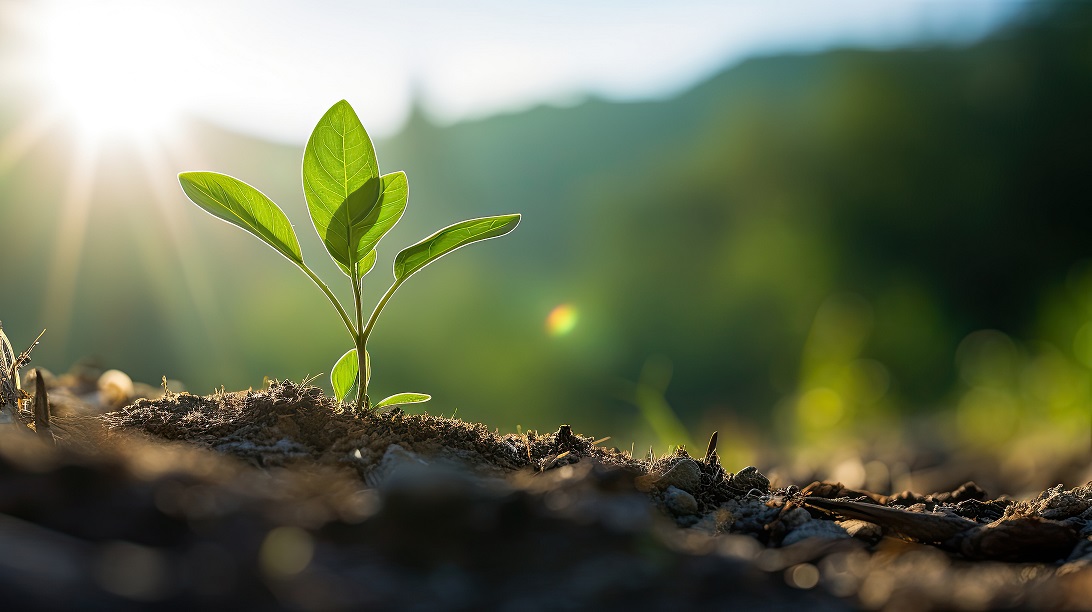 「オフィスの快適性と機能性を高めるMDF製品の最新トレンド」｜BUILMILL(ビルミル)