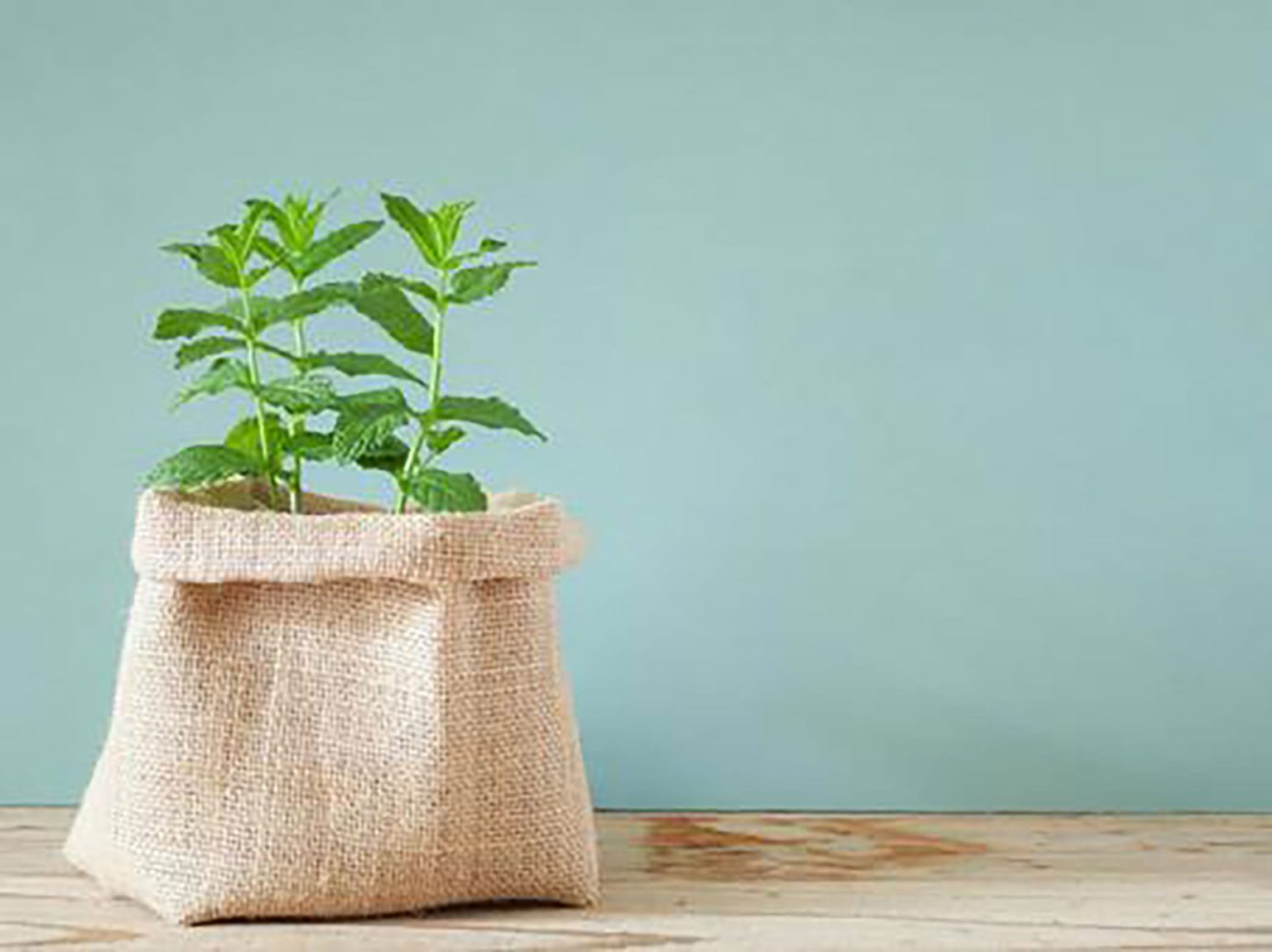 「オフィス給湯室の管理方法とその重要性」｜BUILMILL(ビルミル)