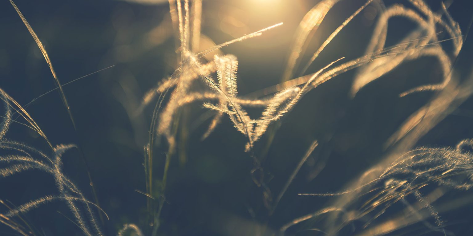 「オフィスの快適性を左右する建物付属設備とは？チェックすべき主要ポイント」｜BUILMILL(ビルミル)