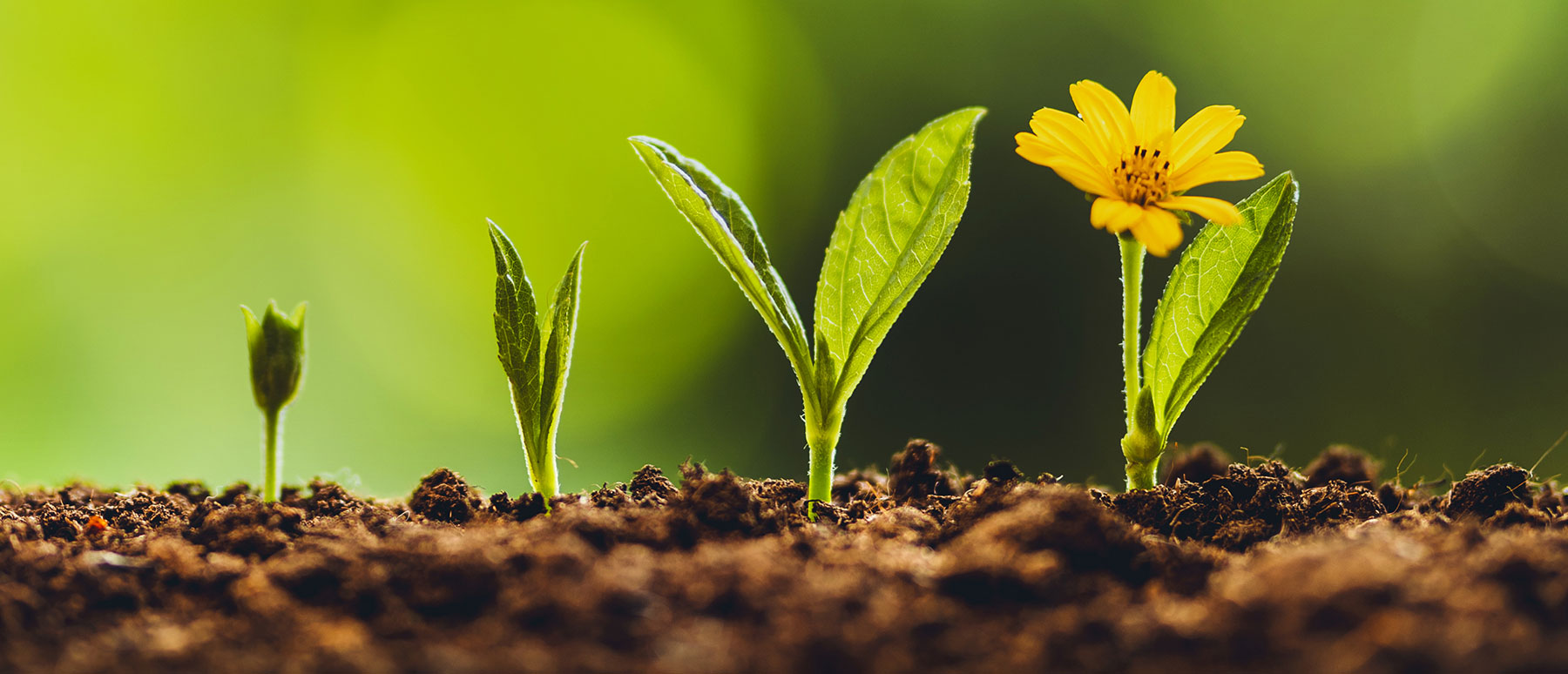 「空室率とは？オフィス選びで知っておきたい空室率の基礎知識」｜BUILMILL(ビルミル)