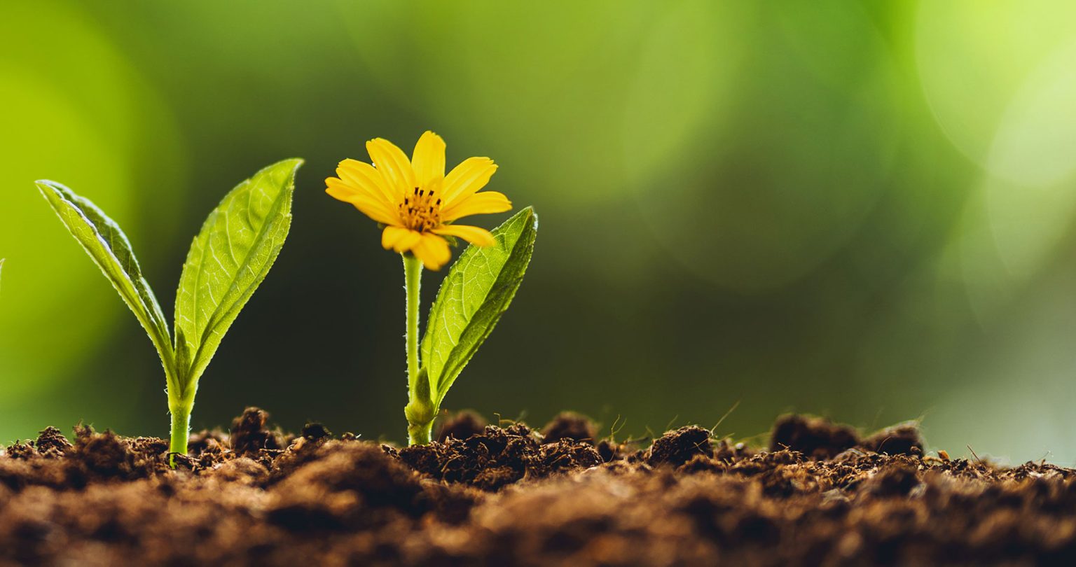 「造作譲渡とは？オフィス移転時に知っておきたい基礎知識」｜BUILMILL(ビルミル)